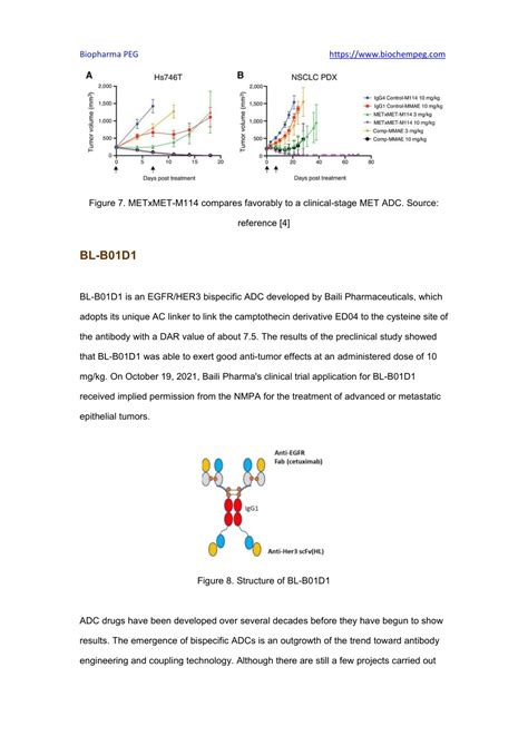 Ppt Bispecific Antibody Drug Conjugates Adcs Emerging Trends