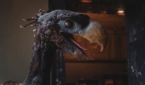 First Known Fossilized Terror Bird Footprints Found In Argentina