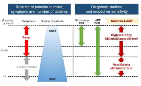 Malaria Testing Solutions At A Glance