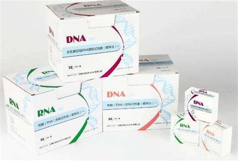 活性氧 ROS 检测试剂盒DCFHDA价格 品牌 HZbscience 丁香通官网