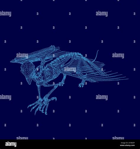 Blue Bird Skeleton Is Shown In A Blue Background The Skeleton Is In A