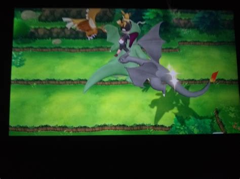 49 Best Fearow Images On Pholder Shiny Pokemon Nuzlocke And Pokemongo