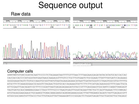 Ppt Dna Sequencing Methods Powerpoint Presentation Free Download Id 336701