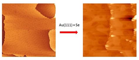Selenium Adsorption On Coinage Metals Chemisorption Polymerization