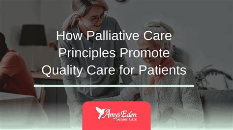 How Palliative Care Principles Promote Quality Care For Patients