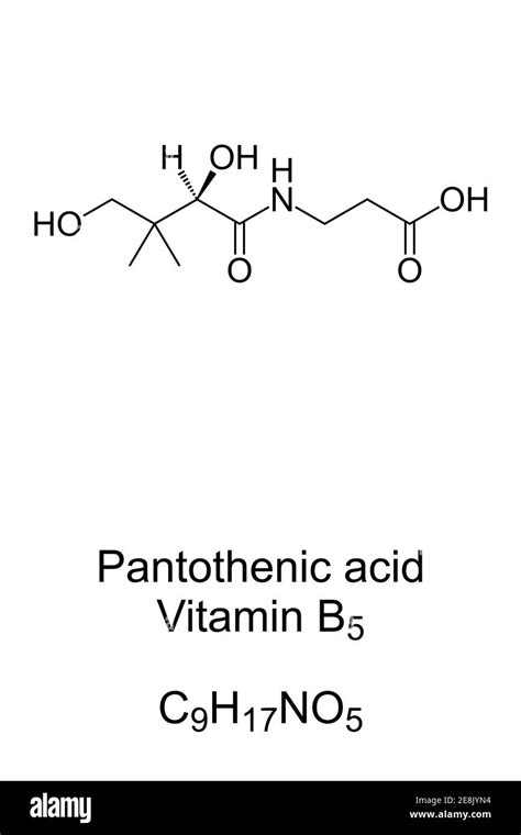 Vitamin B5 Pantothenic Acid Molecular Chemical Vector Image 52 Off