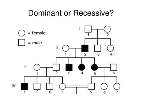 Ppt Pedigrees And Genetic Analysis Powerpoint Presentation Free