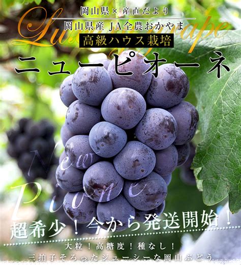 岡山県産 Ja全農おかやま 高級ハウス栽培 ニューピオーネ 青秀品以上 約12キロ（600g×2房）送料無料 ブドウ 葡萄 種なしぶどう