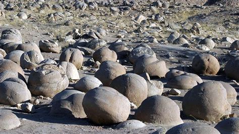 Pumpkin Patch Anza Borrego Travel Guide