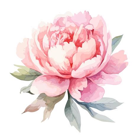 Acuarela flor rosa ilustración digital ramo de flores en diseño vintage
