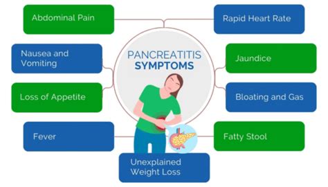 What Is Pancreatitis Symptoms And Treatment In Homoeopathy Pmri