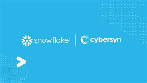 Snowflake Leads 62 9m Series A Funding Round In Data As A Service