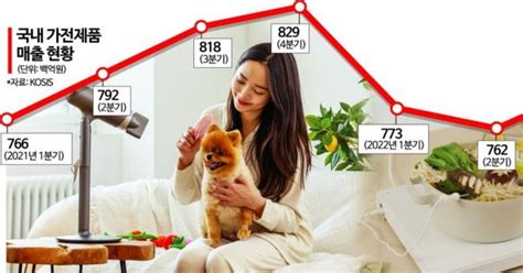 드라이어 만드는 선풍기 회사 인덕션 만드는 밥솥 회사한우물 가전에 무슨 일이