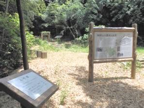 細根山オアシスの森の進捗状況と取り組み株式会社イーストヒル