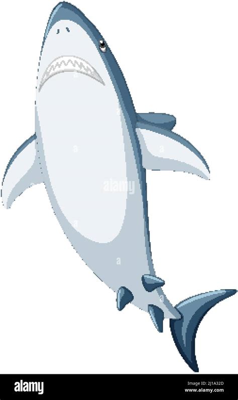 Great White Shark Cartoon Illustration Stock Vector Image And Art Alamy