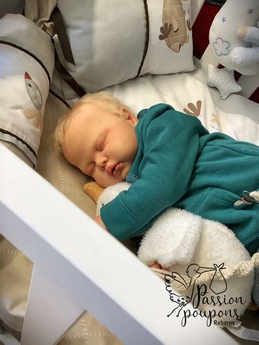 Pickles De Nikki Johnston Passion Poupons Reborns Bébé Reborn Québec
