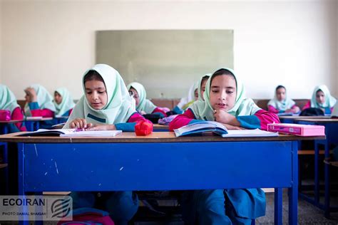 راه اندازی کلاس مجازی شاد به ادارات کل استان‌ها ابلاغ شد