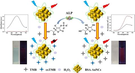 Nanozyme Based Biosensors