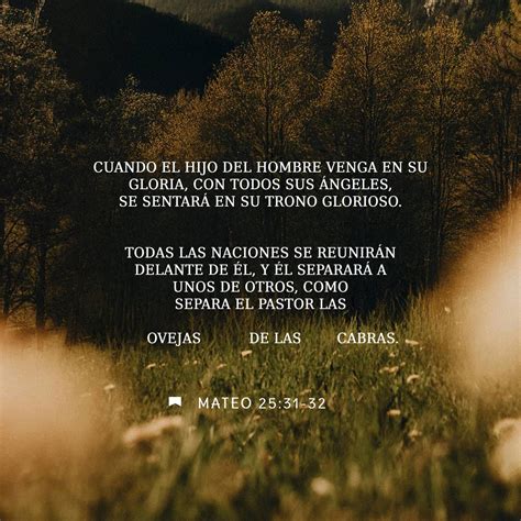 Mateo 2531 46 Nvi Cuando El Hijo Del Hombre Venga En Biblia App