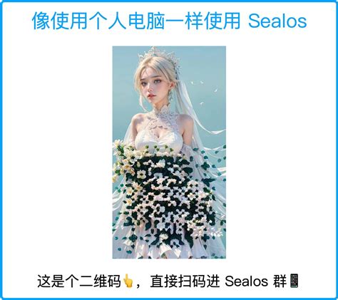 Community Sealos Docs