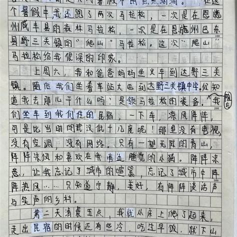 省人大常委会调研组来蔡甸区调研对外友好交往工作 长江网