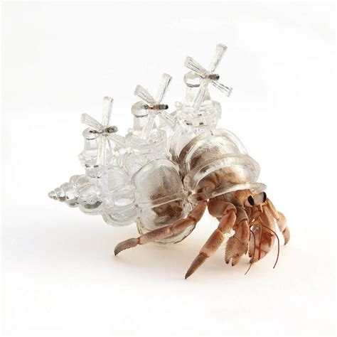 Architectural Hermit Crab Shelters By Aki Inomata Daily Design