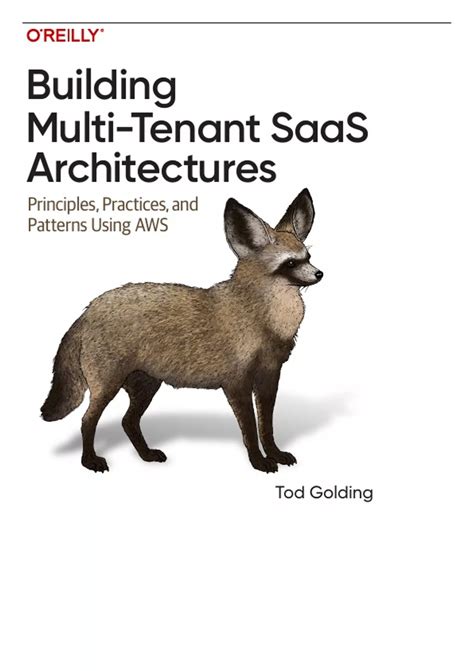 Building Multi Tenant Saas Architectures Principles Practices And