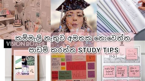 Study Tips For Studentsstudy Motivation👊study Tips In Sinhala Youtube