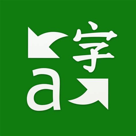 Microsoft Translator Iphone App
