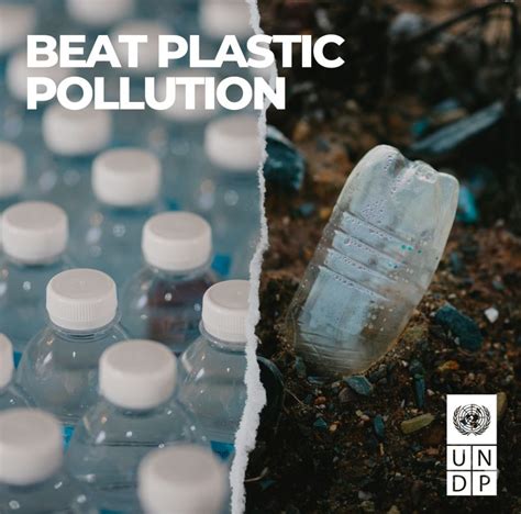 Lucía Caldeiro On Linkedin Worldenvironmentday Beatplasticpollution