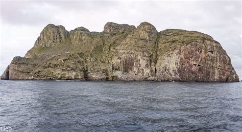 Malpelo Island 2021 Best Of Malpelo Island Tourism Tripadvisor