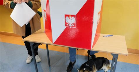 Zaskakujący wynik wyborów 2023 Tak głosowali młodzi Kobieta