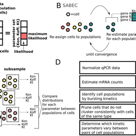 Pipeline For The Analysis Of Single Cell Gene Expression Data This