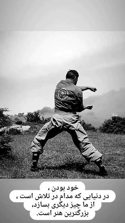 کونگ فو توآ ، استاد حمید زیدس Youtube