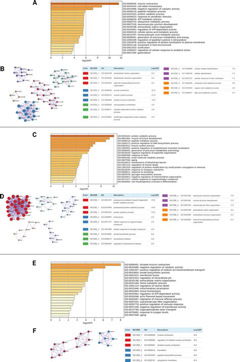 enrichment gene ontology analysis and mcode networks based on the