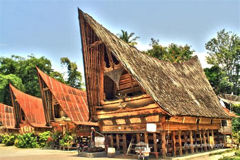 Trekking Orangutan Sumatra Amazing Trips In Bukit Lawang