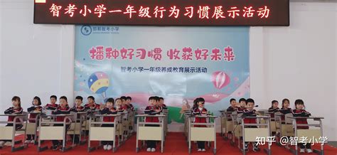 一串不断升值的葡萄 知乎
