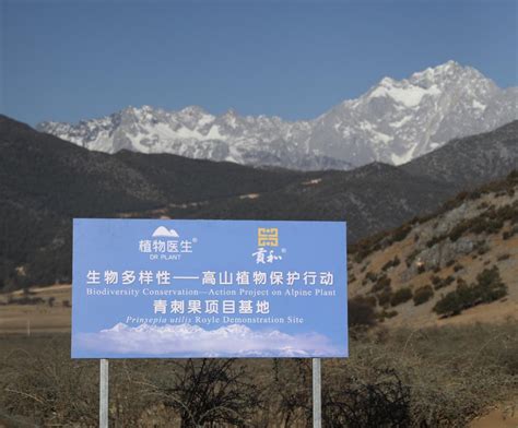 植物医生x面膜代言人周冬雨 开启敏感修护‘膜‘力时代 新闻频道 和讯网