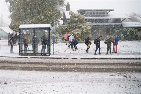 School Closures Portland Public Other Area Districts Closed Thursday
