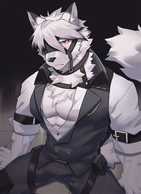 🤍꧁ ︎𝕍𝕠𝕟 𝕃𝕪𝕔𝕒𝕠𝕟 ︎꧂🤍 Furry Yaoi Español Amino Amino