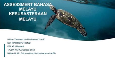 Assessment Bm Ppt