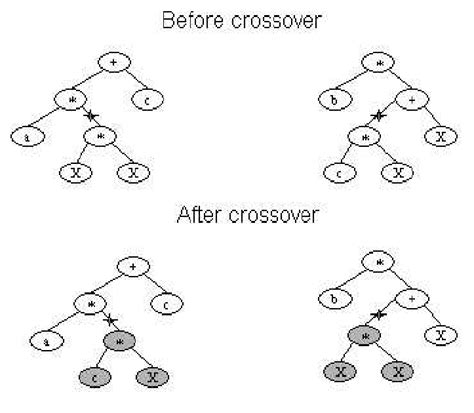 Crossover Examples At Owen Griver Blog