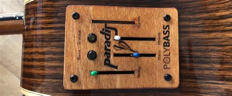 Installation Into Any Guitar Paradis Polybass For Your Guitars