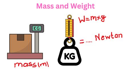Mass And Weight Definition Principles Key Differences Examples