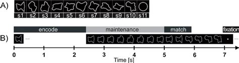 Stimuli And Trial Sequence A Shapes Used For The Morphing Delayed Download Scientific Diagram
