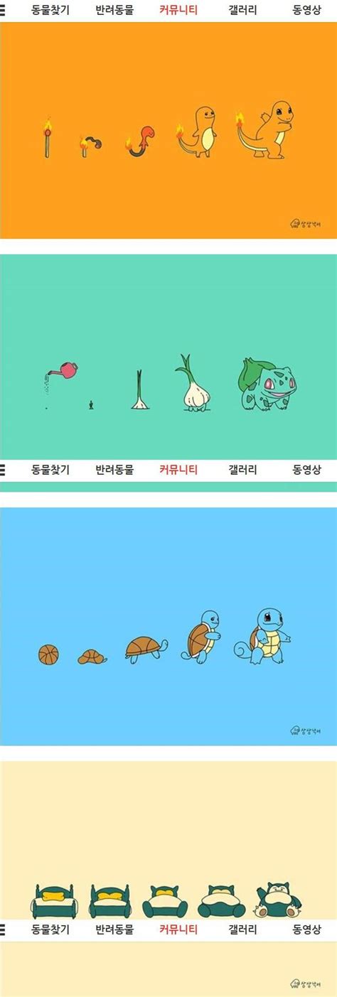 귀여운 포켓몬의 진화과정  인스티즈 Instiz 인티포털 카테고리