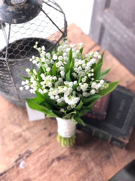 케이트미들턴부케 연예인부케로 유명한 은방울꽃부케 꽃말이예쁜 은방울꽃 네이버 블로그