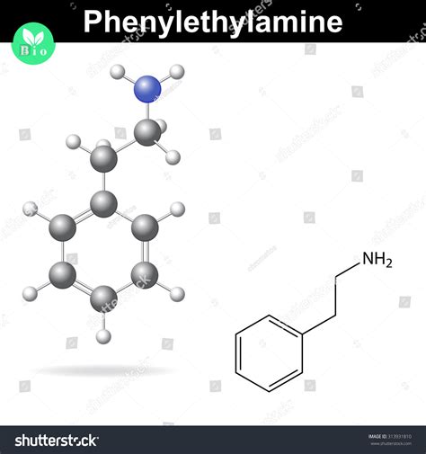 Phenylethylamine Molecule Chemical Formula Neuromediator 2d Stock