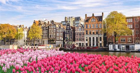 Where To See The Best Tulips In Amsterdam This Season