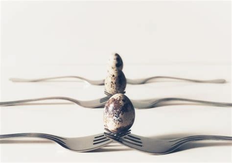 Haystack Data Solutions Agri Business Data Solutions